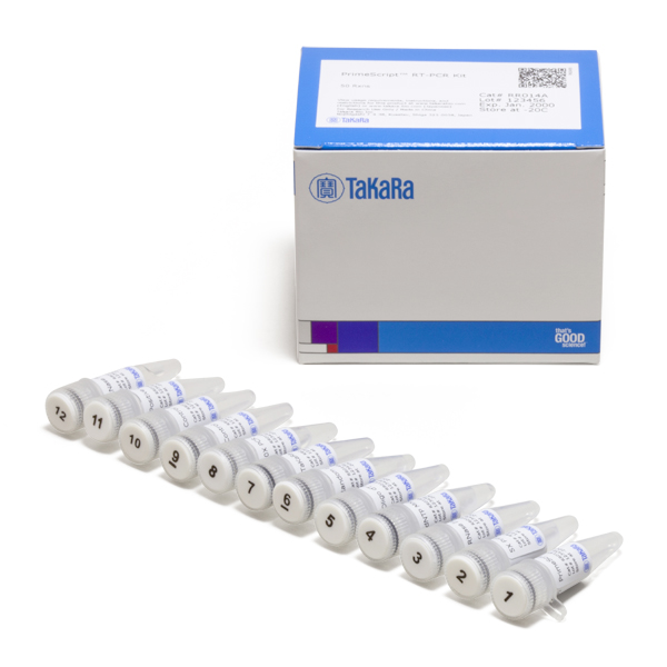 PrimeScript™ RT-PCR Kit, RT-PCR Kit